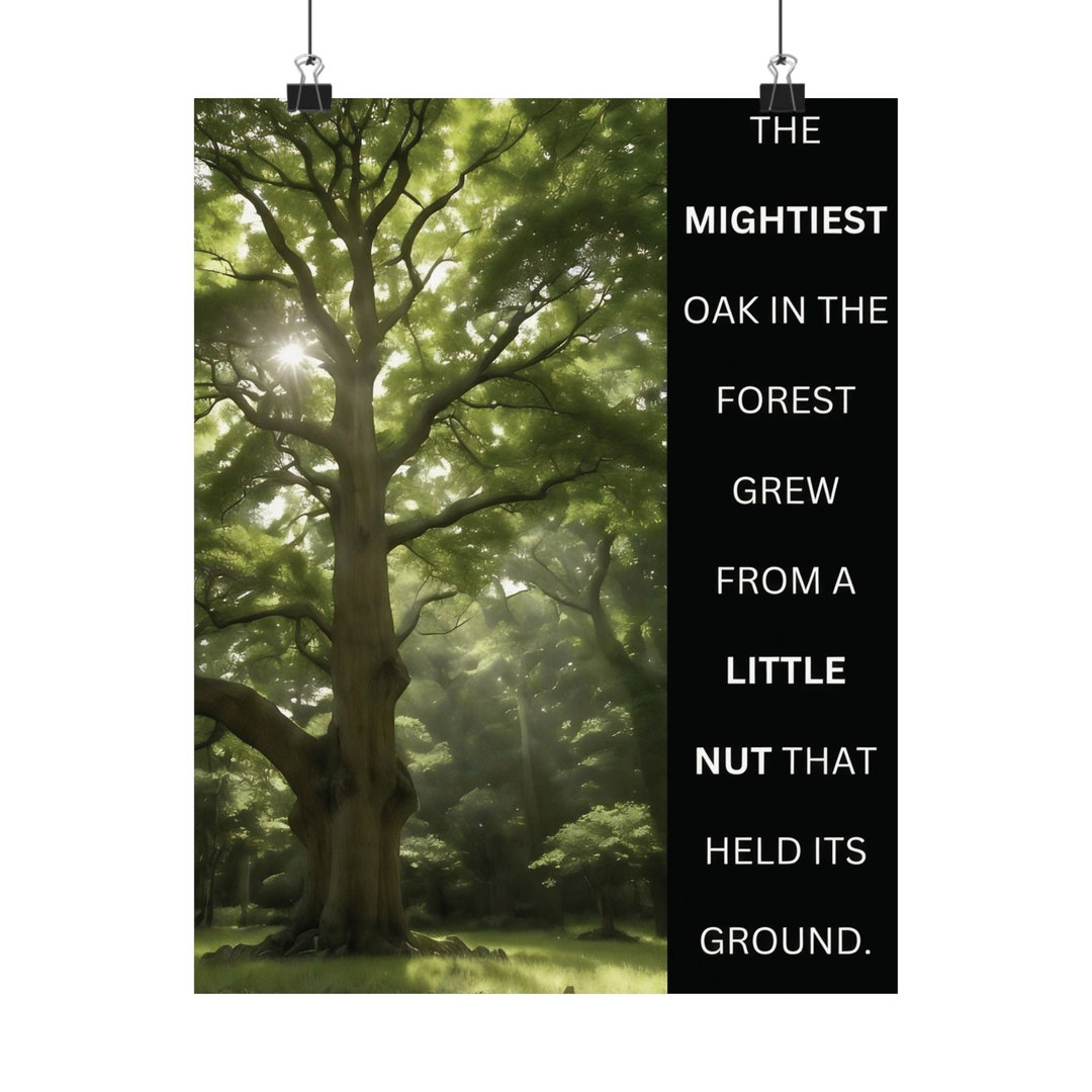 Be A Little Nut, Motivational Poster, Office Art, College Art, Dorm ...