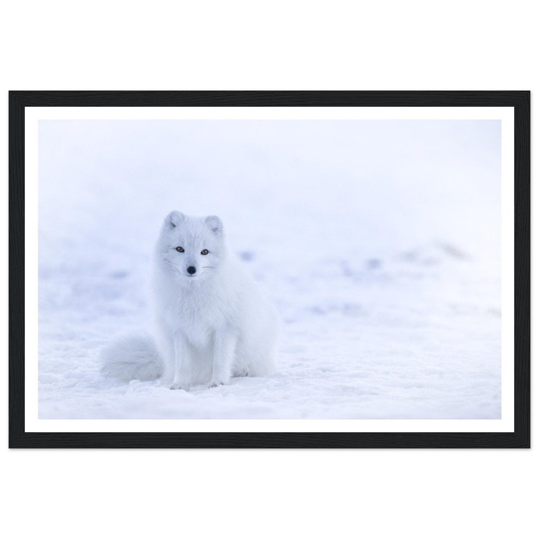 Fox Print Arctic Fox Photo, Nature Photo, Wall Decor, Fox Art Premium ...