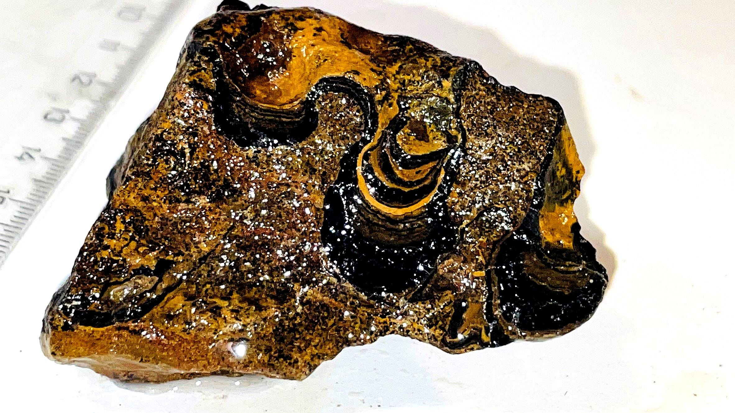 Stromatolite Rough Mineral With Nice Brown Black Colors 87g , Amazing ...