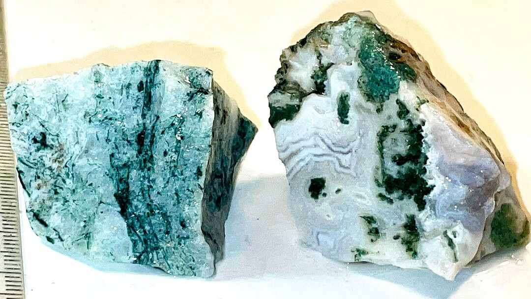 Tree Agate Raw Mineral Specimens - 75g Healing Crystal for Inner Peace ...