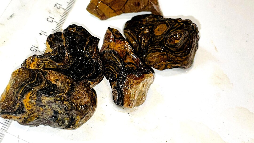 Stromatolite Rough Mineral With Nice Brown Black Colors - 100g ...