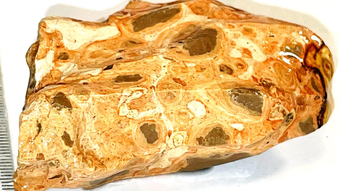 Leopardit Jasper Raw Mineral Specimen 91g - Boost Energy & Vitality ...