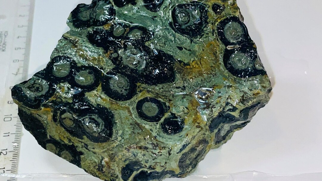 Kambaba Jasper (oolitic Hornblende, Stromatolite, Eldarite); Wonderful ...