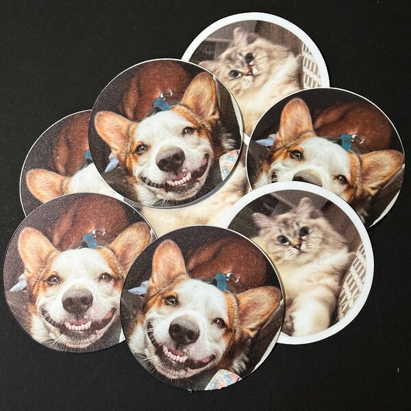 Turn Photo Into Stickers - Etsy