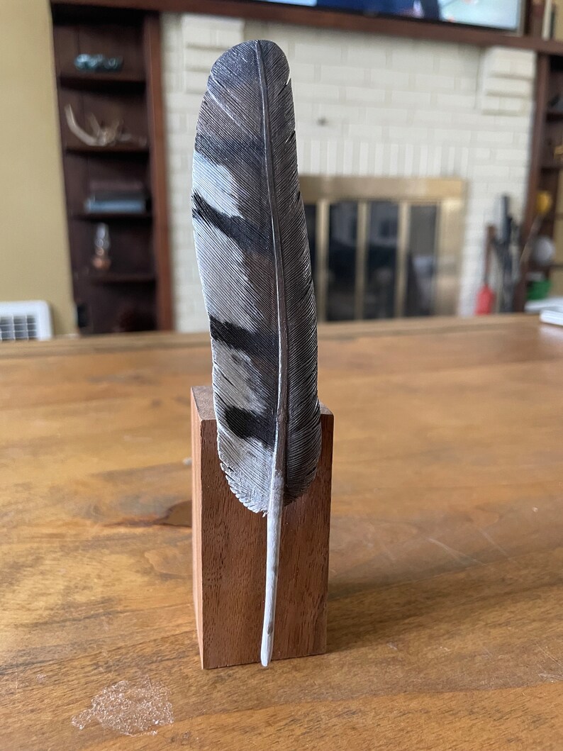 Lifesize Cooper’s Hawk Feather - Hand Carved and Painted. Wooden Bird ...