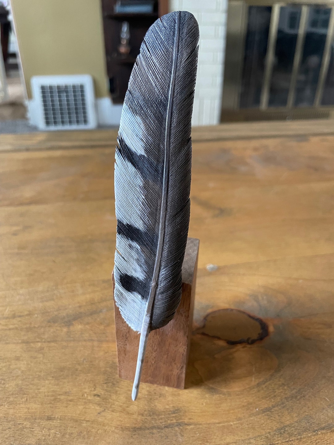 Lifesize Cooper’s Hawk Feather - Hand Carved and Painted. Wooden Bird ...