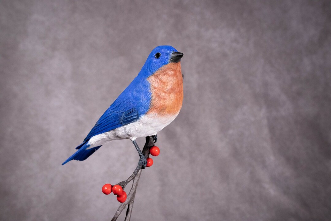 Life Size Eastern Bluebird on Winterberry Woodcarving - Hand Carved ...