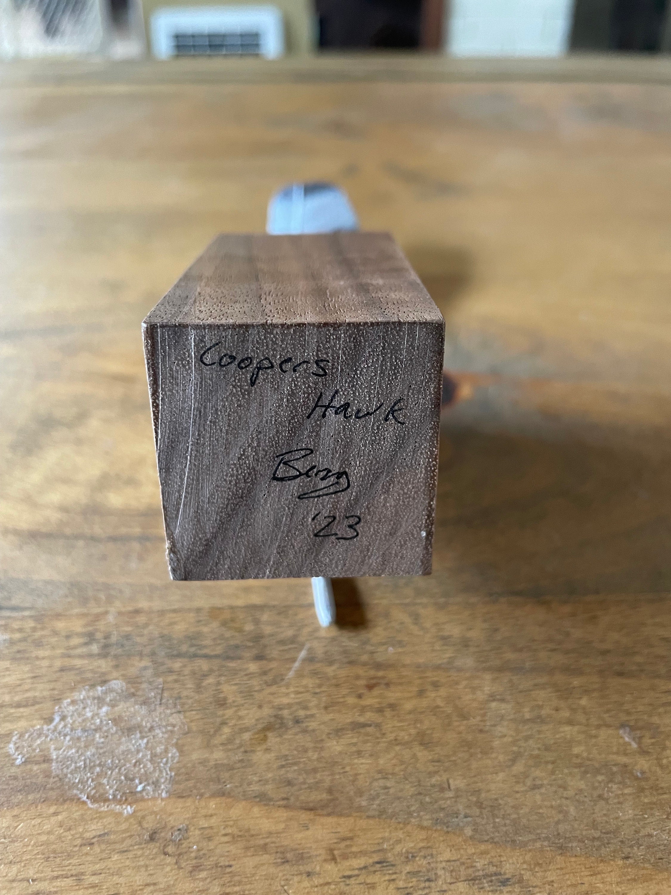 Lifesize Cooper’s Hawk Feather - Hand Carved and Painted. Wooden Bird ...