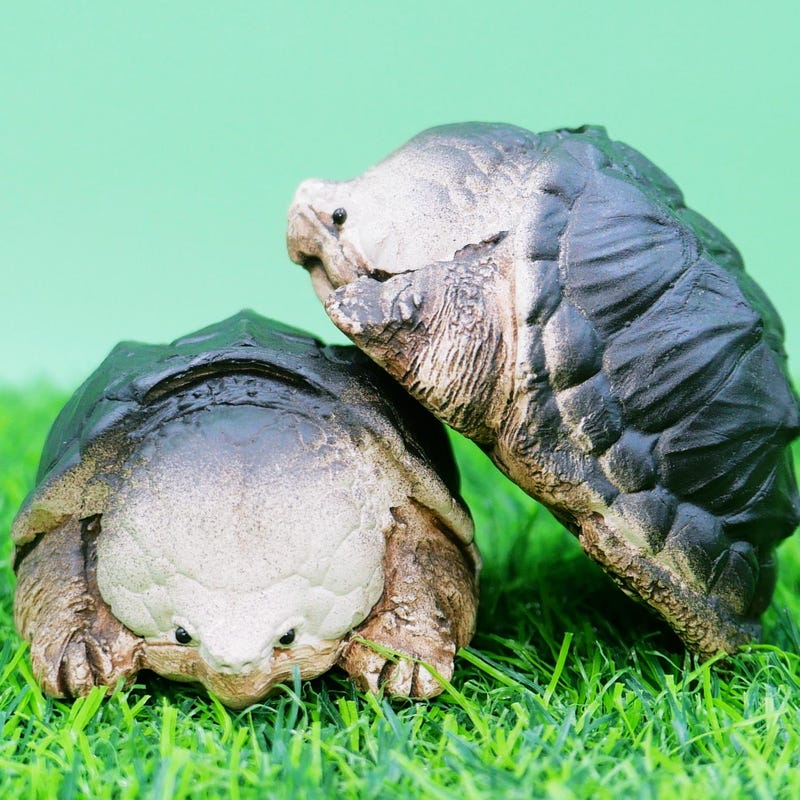 Snapping Turtle - Etsy