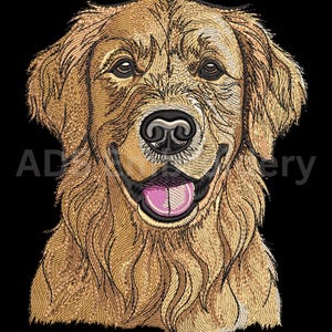 Golden Retriever Embroidery Design, Dog Embroidery Design, Machine ...