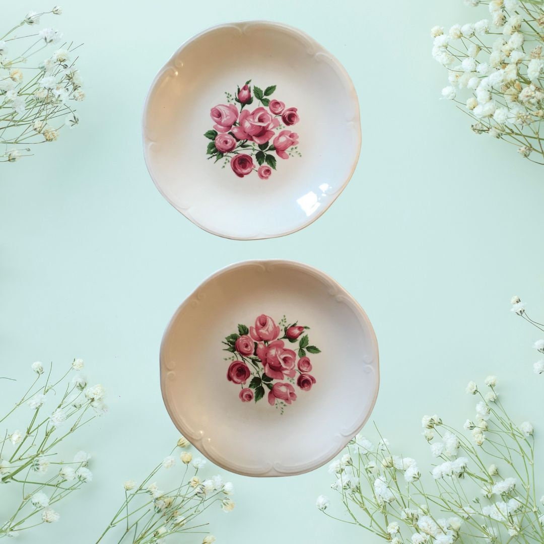 Gien Plates, French Plates, French Vintage, Floral Plates, Vintage ...