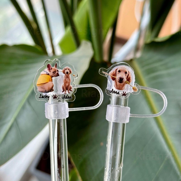 Cute Straw Topper Stanley - Etsy