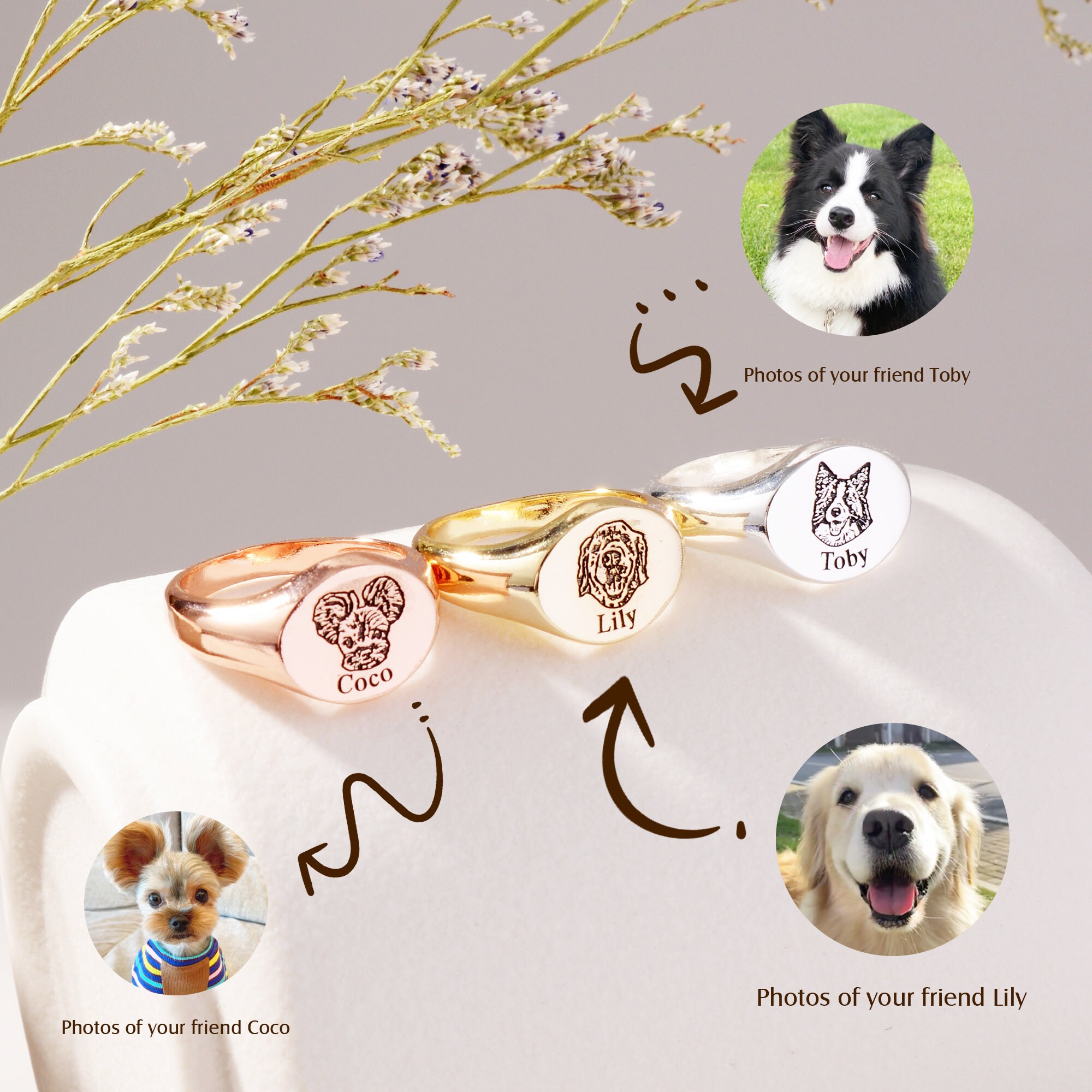Oval Pet Photo Ring, Signet Custom Engraved Pet Name Portrait Ring, Pet ...