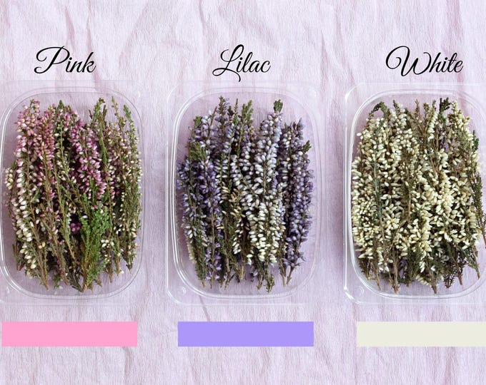 Heather 3d Flower for Resin, Dried Heather Branches, Dried Purple Pink ...