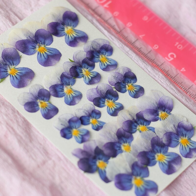 Edible Soap - Etsy