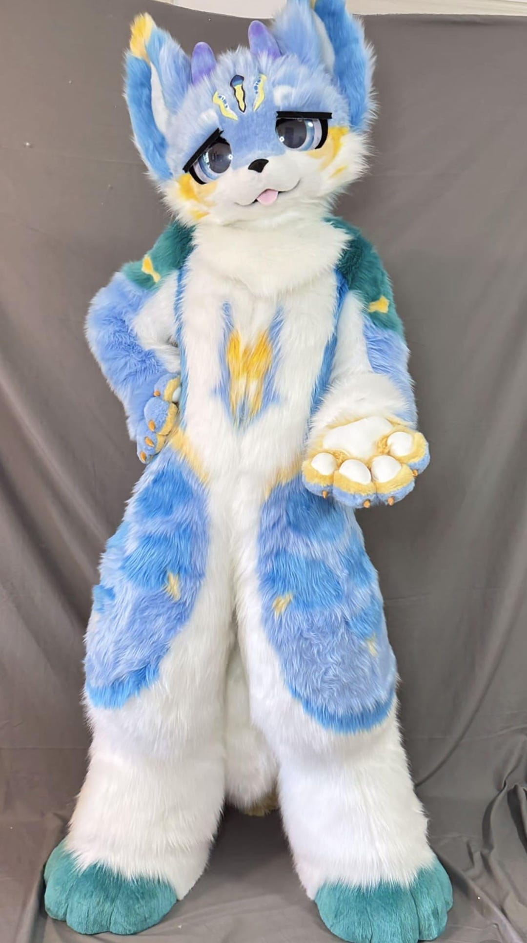 Blue Dragon Fish King Full Body Suit, Customized Kenomo Fur Clothing ...