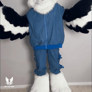 Handsome Hummingbird Fursuit Claw Wings,plush Arm Wings,wings Claw ...