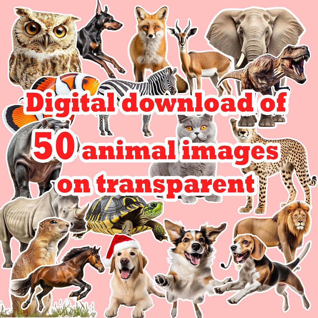 Digital Download of 50 Realistic Animal Images on Transparent ...