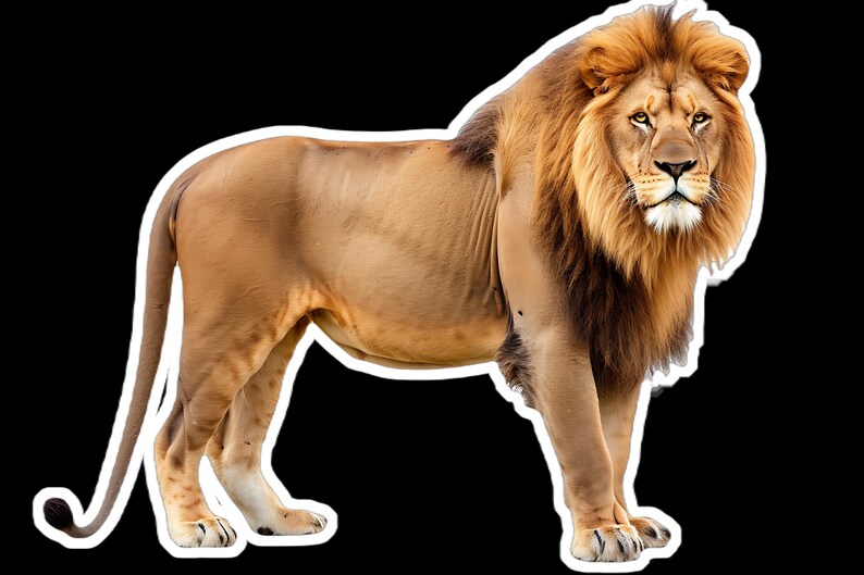 Digital Download of 50 Realistic Animal Images on Transparent ...