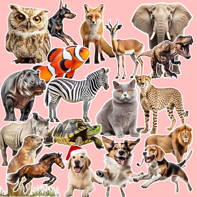 Digital Download of 50 Realistic Animal Images on Transparent ...