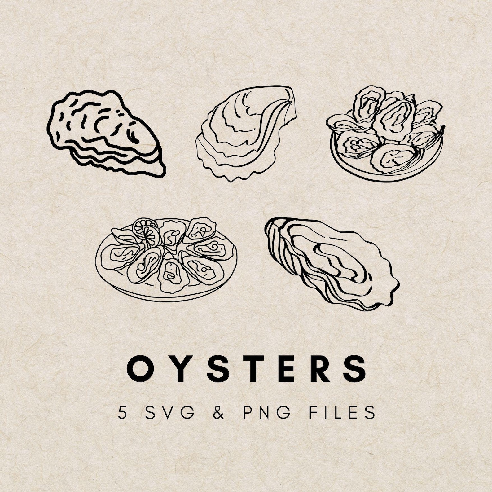 Oyster Seashell Clipart, Oysters Digital Download, Seafood SVG, Ocean ...