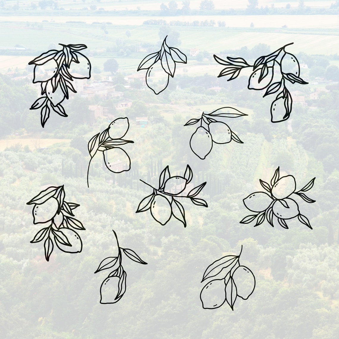 Hand Drawn Lemon Clipart Bundle, Scribble Food Clip Art, Graphic Design ...