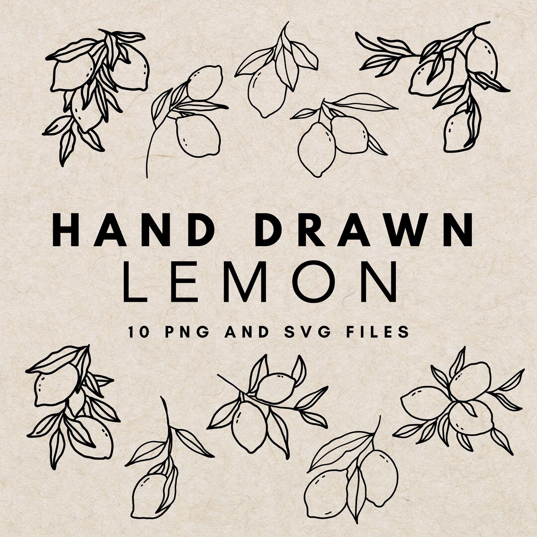 Hand Drawn Lemon Clipart Bundle, Scribble Food Clip Art, Graphic Design ...