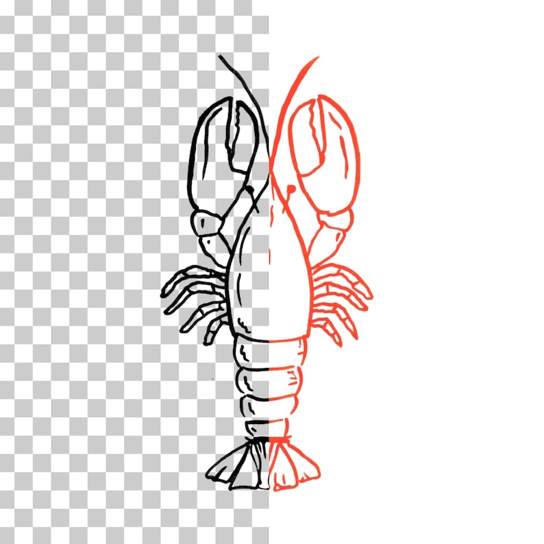 Hand Drawn Seafood Clipart, Lobster Crab Food, Shrimp Oysters Clipart ...