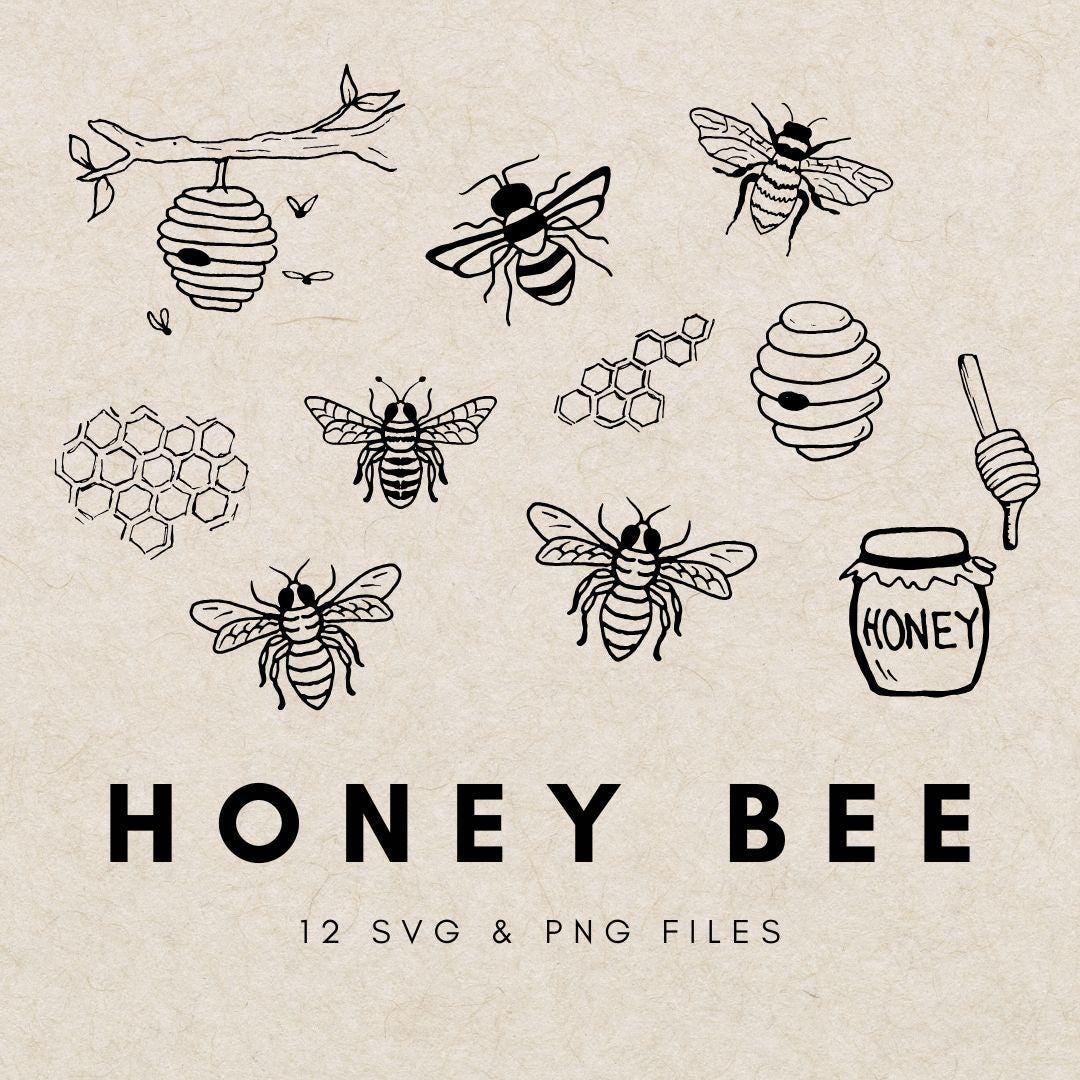Hand Drawn Bee Clipart | Honey Bee Clipart | Bumble Bee SVG | Honeycomb ...