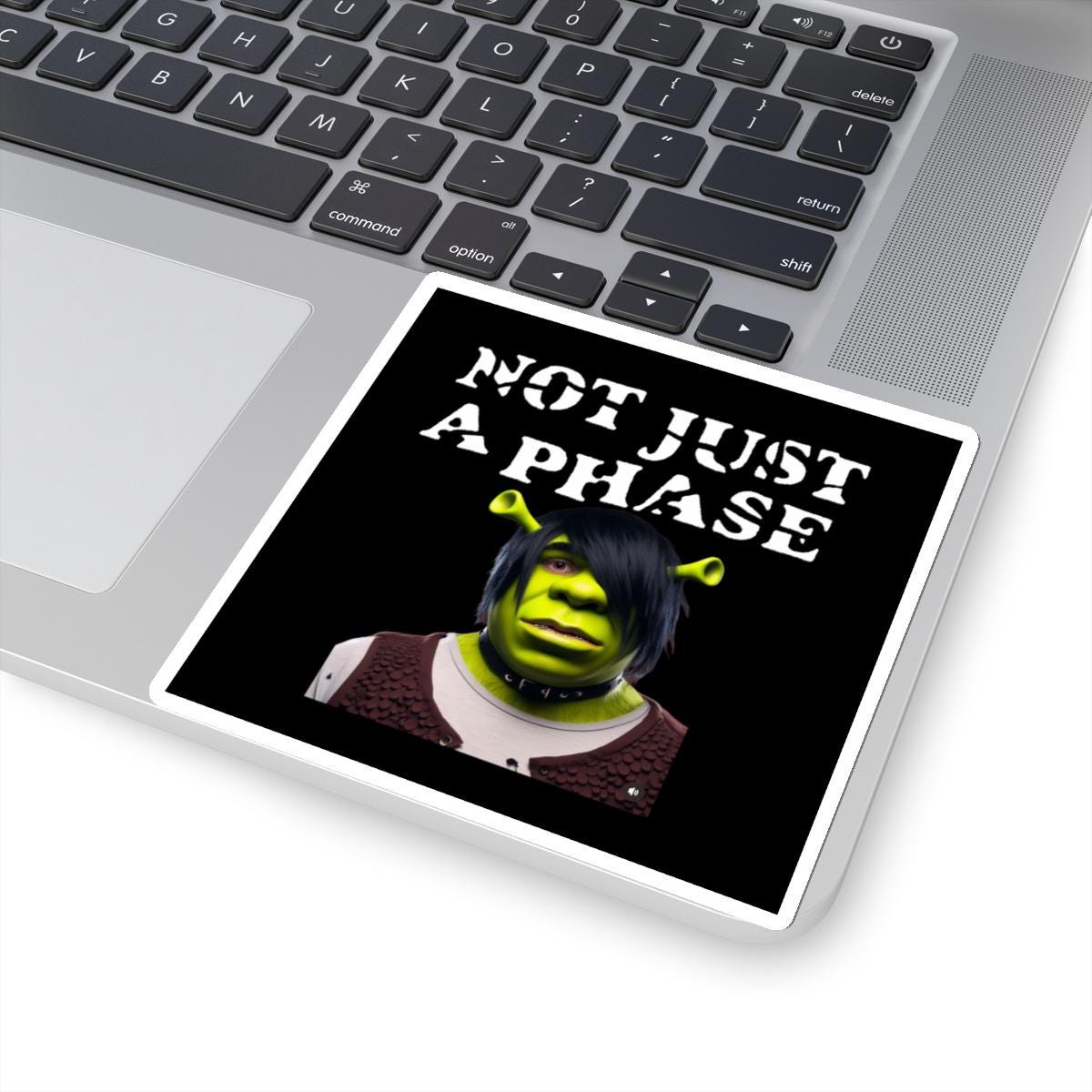 Not Just a Phase Emo Shrek Sticker - Etsy