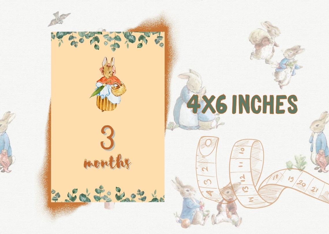 12 Peter Rabbit Theme Baby Printable Milestone Cards for Every Month ...