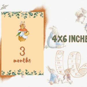 12 Peter Rabbit Theme Baby Printable Milestone Cards for Every Month ...