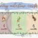 12 Peter Rabbit Theme Baby Printable Milestone Cards for Every Month ...