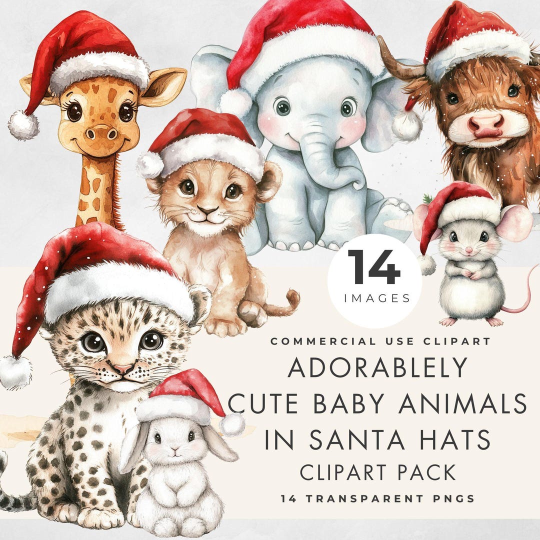 Baby Animals in Santa Hats Clipart, Commercial Use, Transparent PNG ...