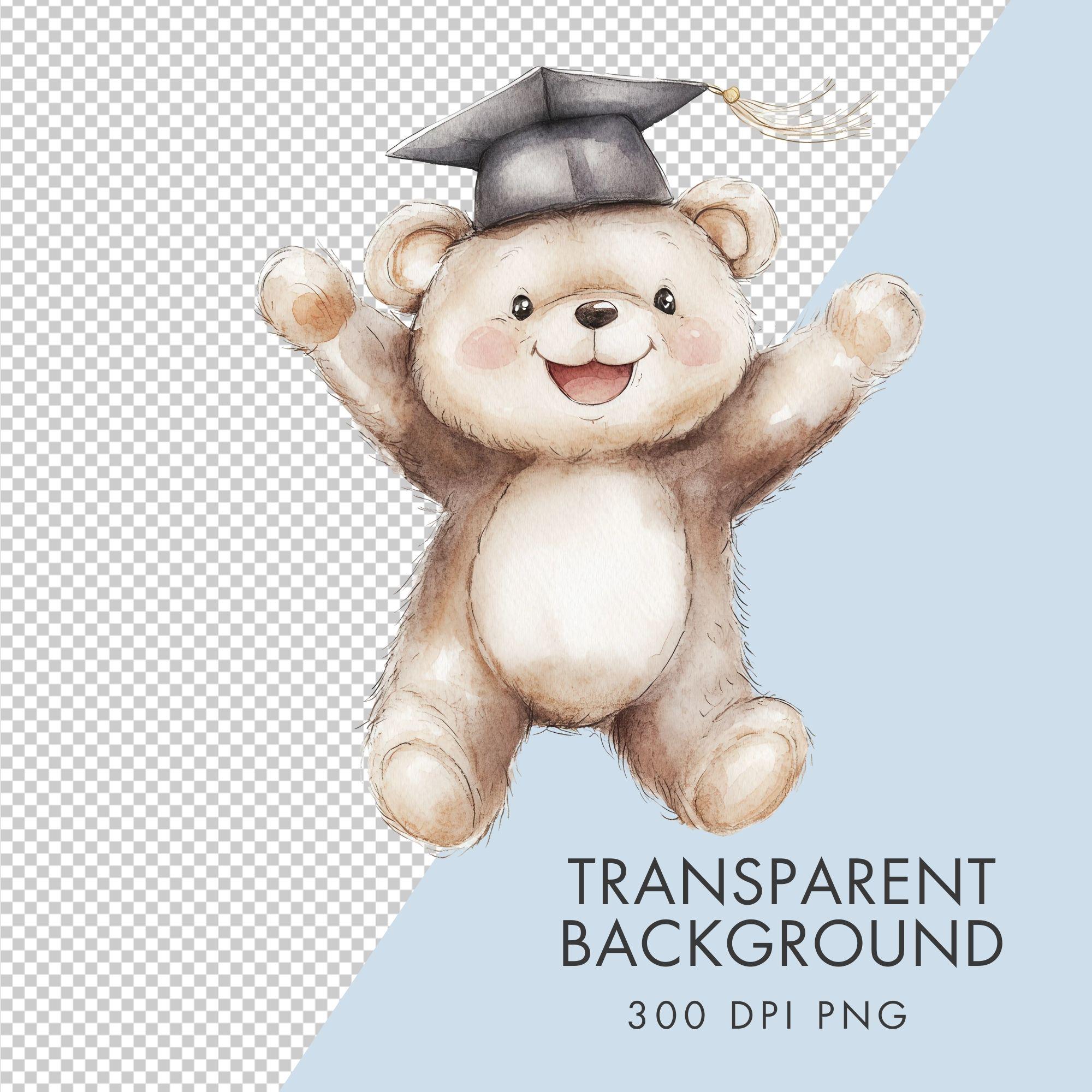 Graduation Bear Clipart, SINGLE IMAGE, Commercial Use, Transparent PNG ...