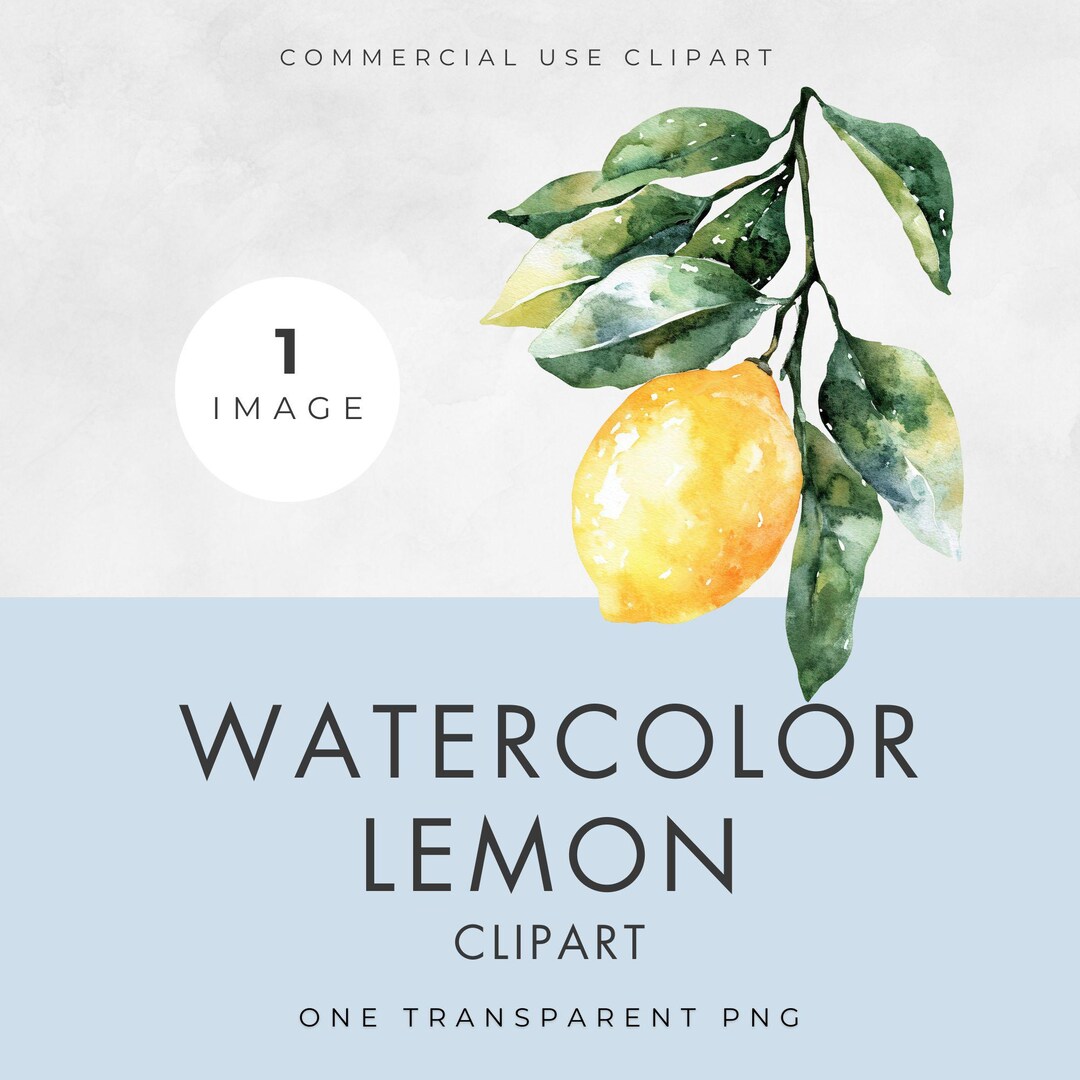 Lemon Clipart, SINGLE IMAGE, Commercial Use, Transparent PNG ...