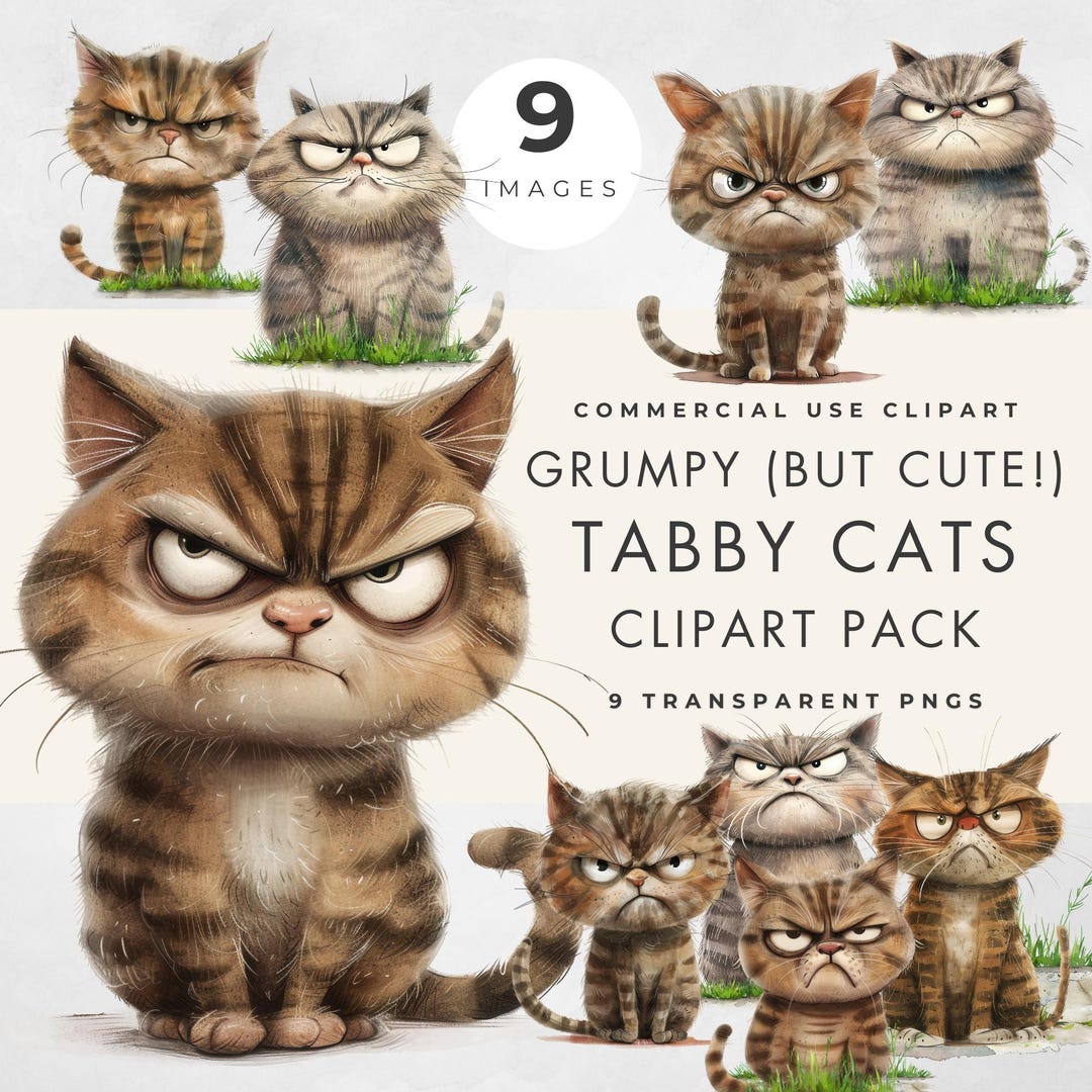 Grumpy Cat Clipart, Commercial Use, Transparent PNGS, Funny Cute ...