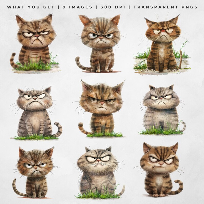 Grumpy Cat Clipart, Commercial Use, Transparent PNGS, Funny Cute ...