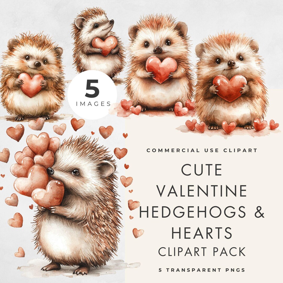 Valentines Hedgehog Clipart, Commercial Use, Transparent PNGS, Cute ...