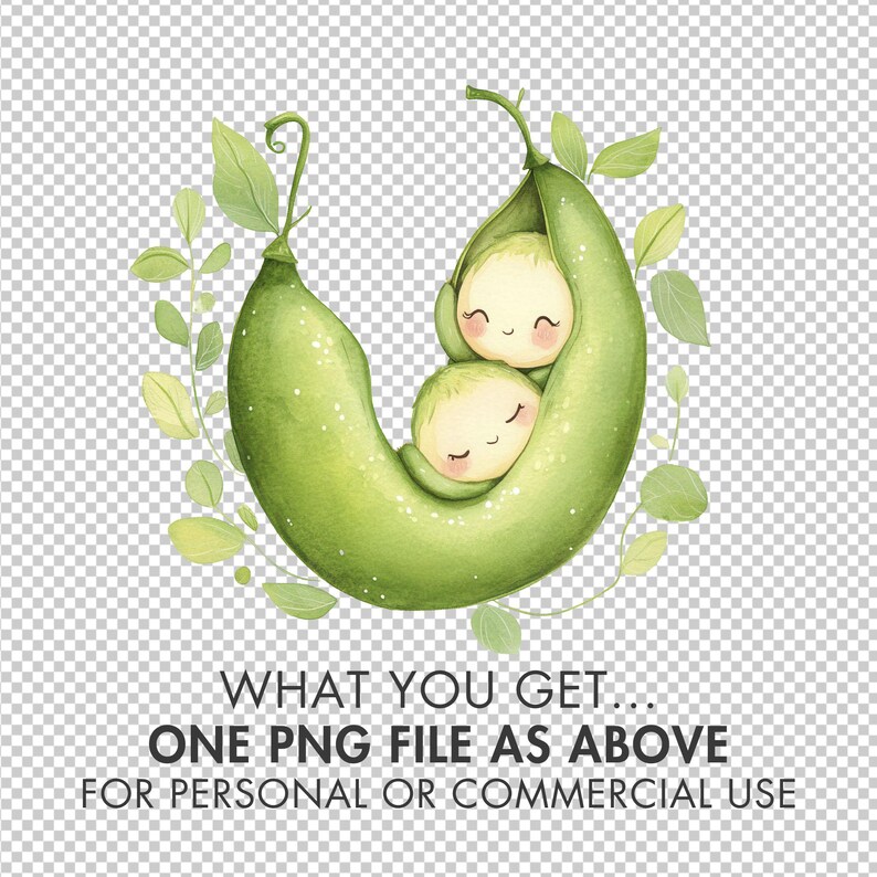 2 Peas in a Pod Clipart, Commercial Use, SINGLE IMAGE, Transparent PNG ...