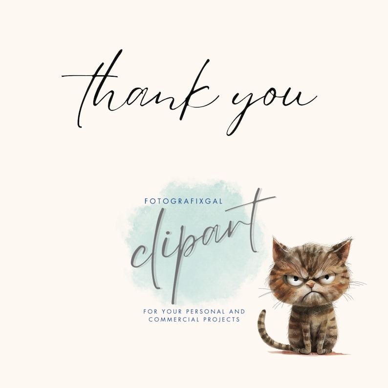 Grumpy Cat Clipart, Commercial Use, Transparent PNGS, Funny Cute ...