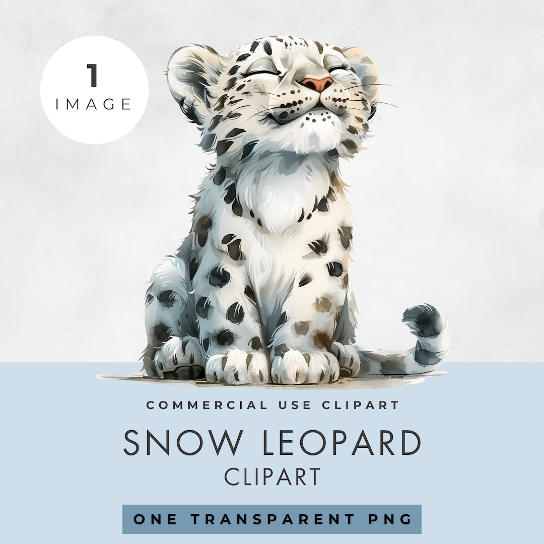 Snow Leopard Clipart, SINGLE IMAGE, Commercial Use, Transparent PNG ...