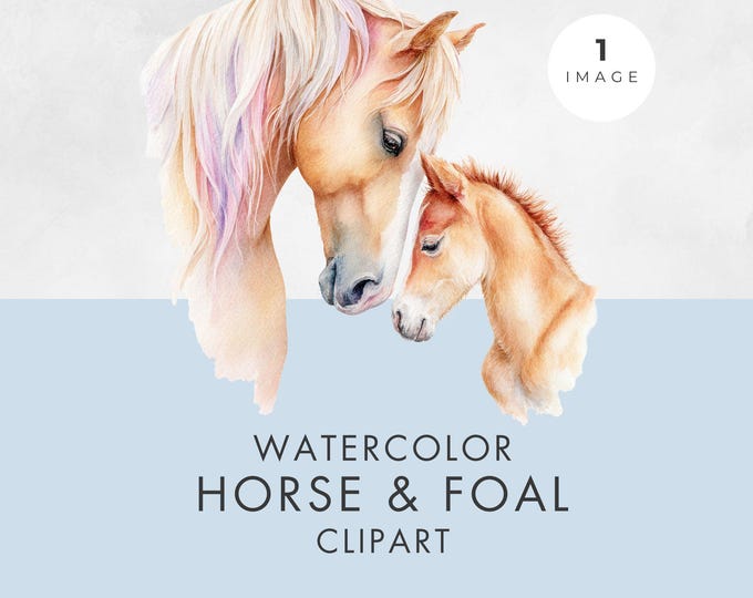 18 Baby Horse Clipart | Horse and Foal | Printable Watercolor Clipart ...