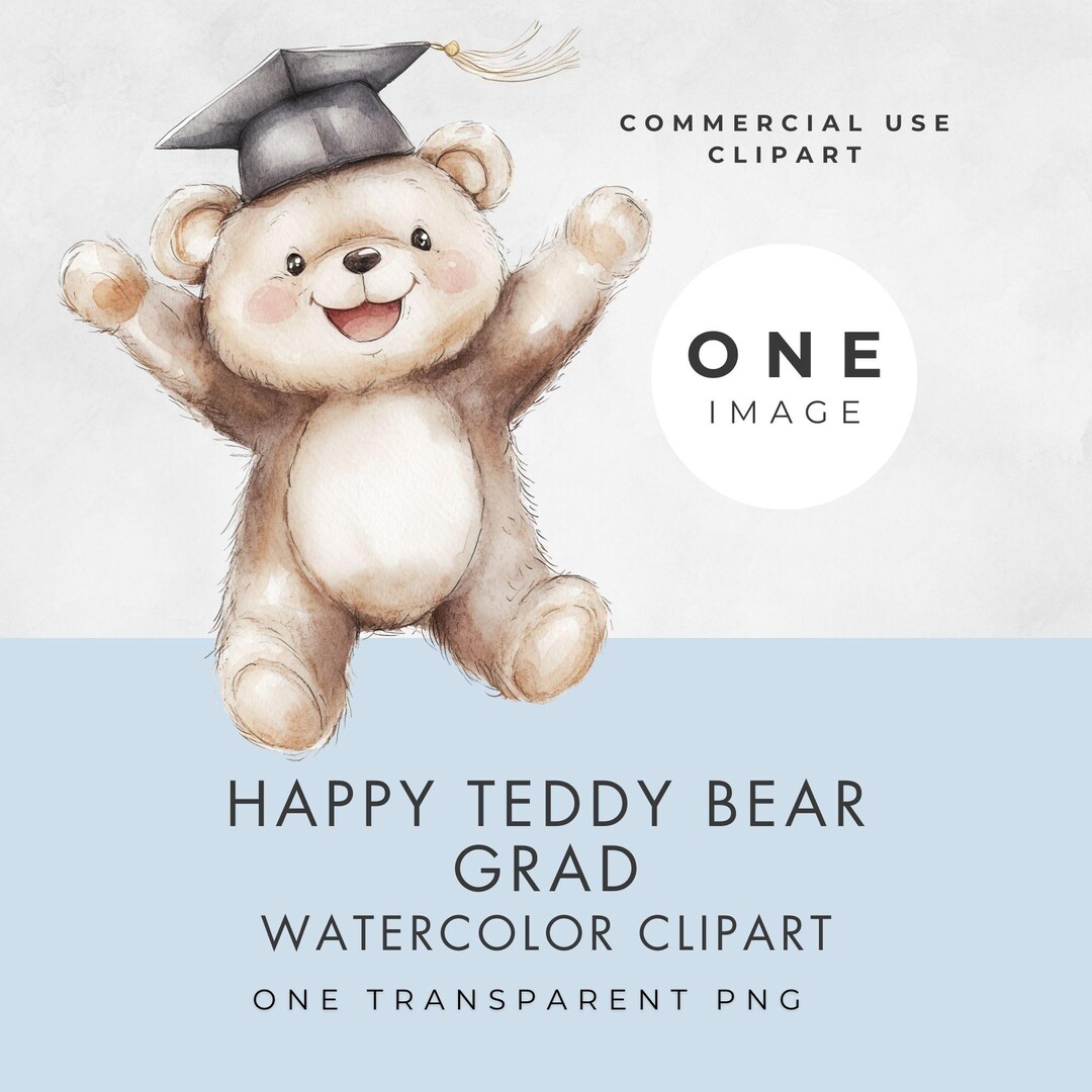 Graduation Bear Clipart, SINGLE IMAGE, Commercial Use, Transparent PNG ...
