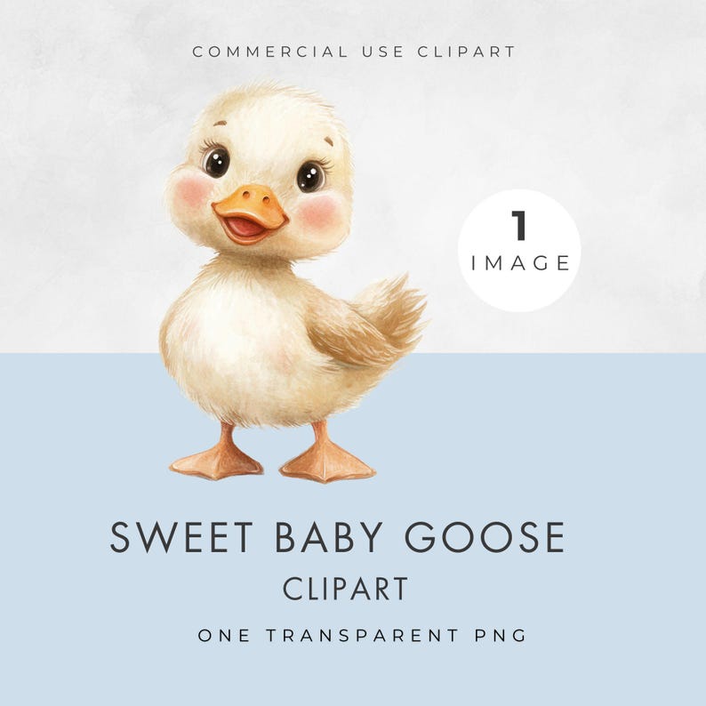 Baby Goose Clipart, SINGLE IMAGE, Commercial License, Transparent PNG ...