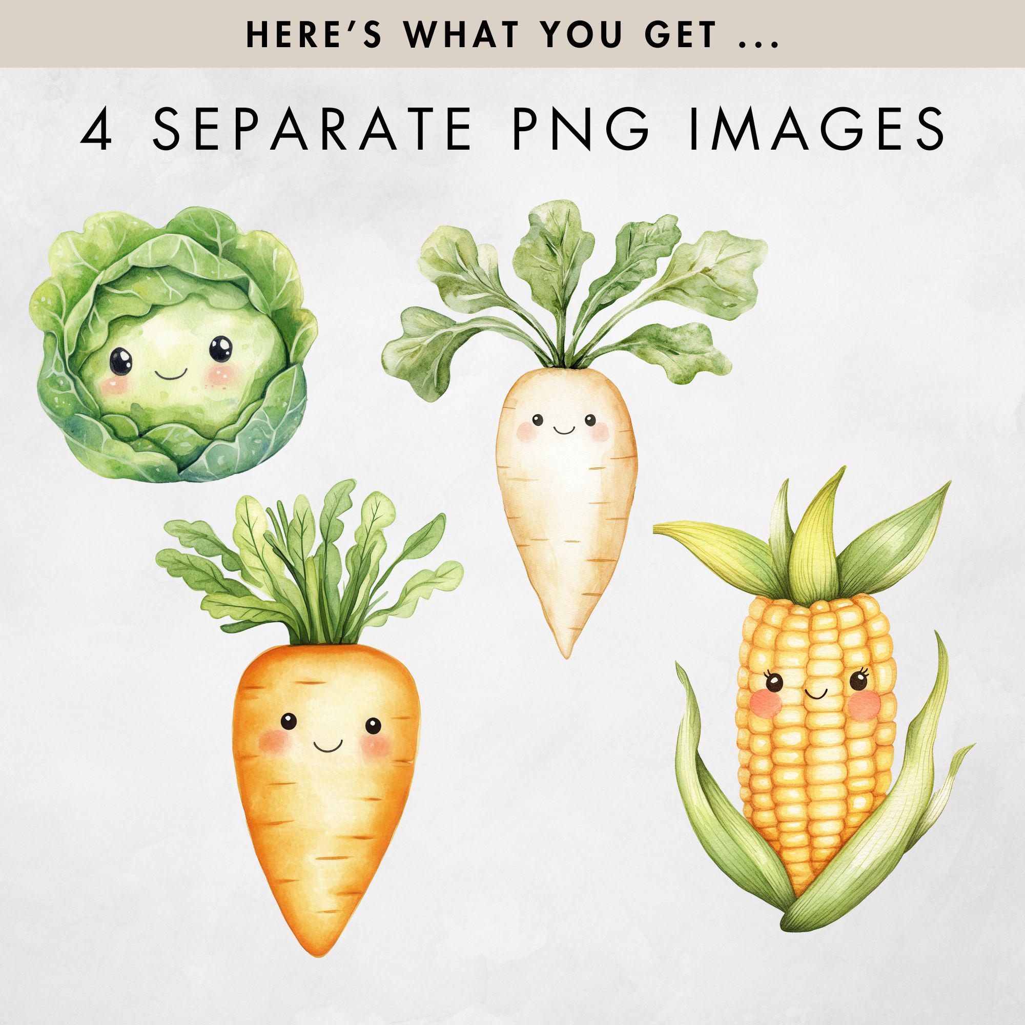Cute Vegetable Clipart, Commercial Use, Transparent PNG, Watercolor ...