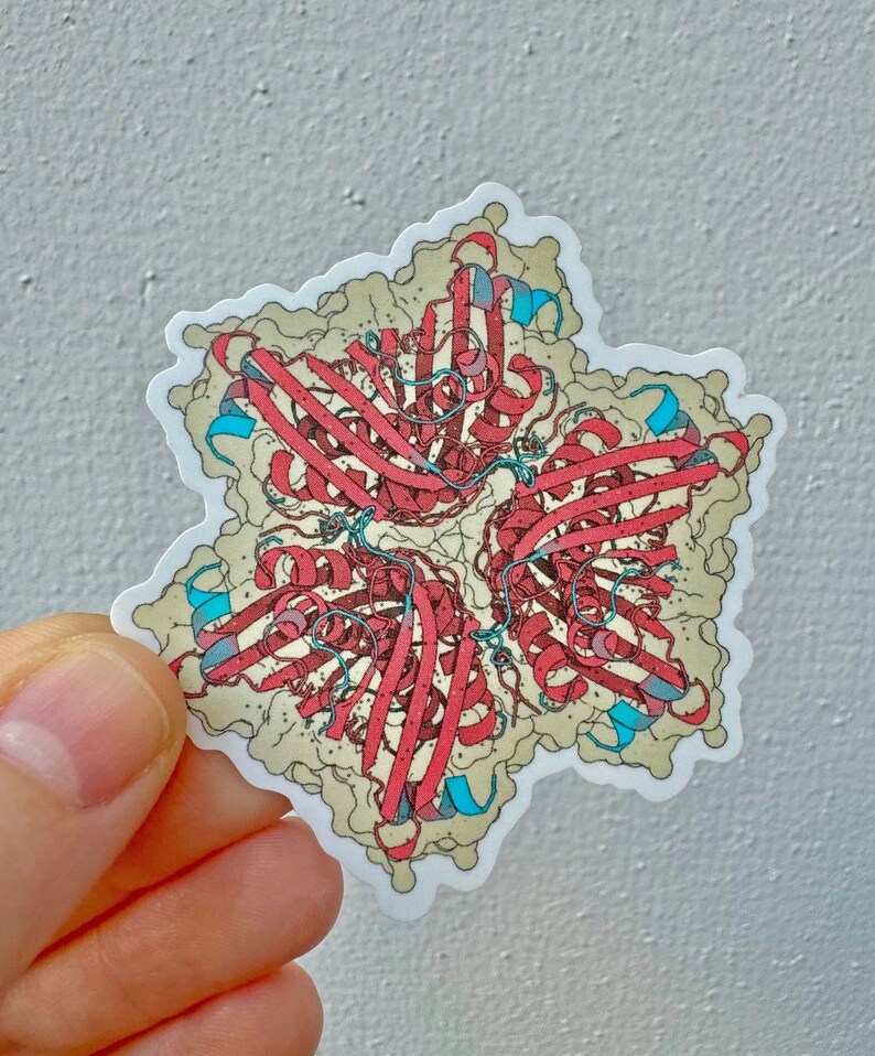 Protein Structure Sticker Structural Biology Sticker Geeky Gift Lab ...