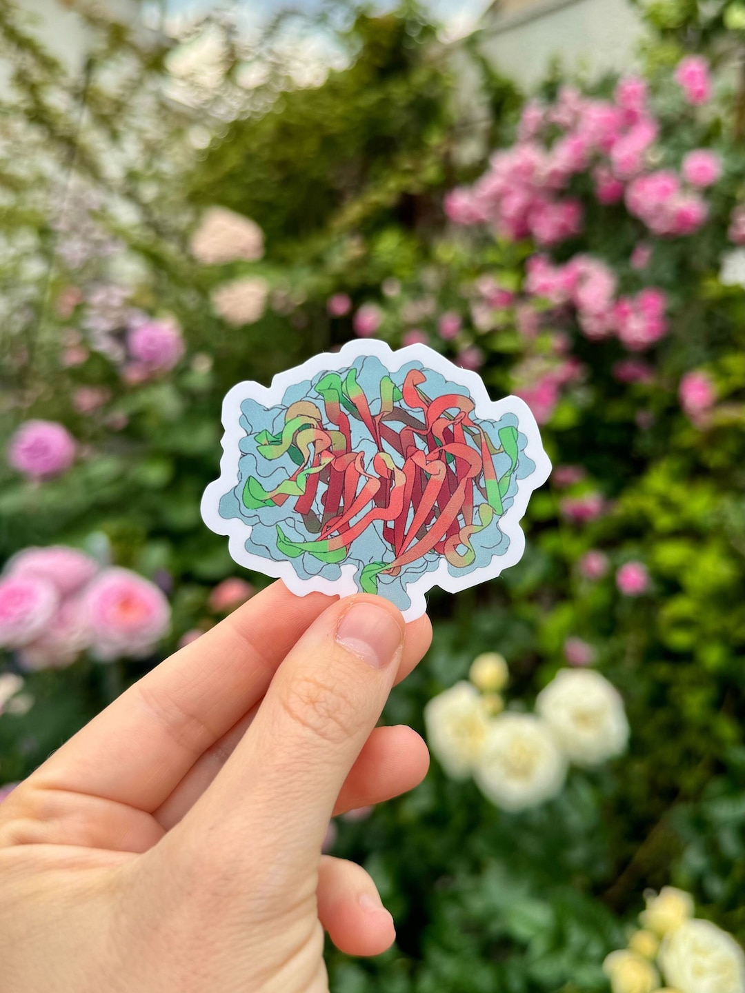 Protein Structure Sticker - Etsy