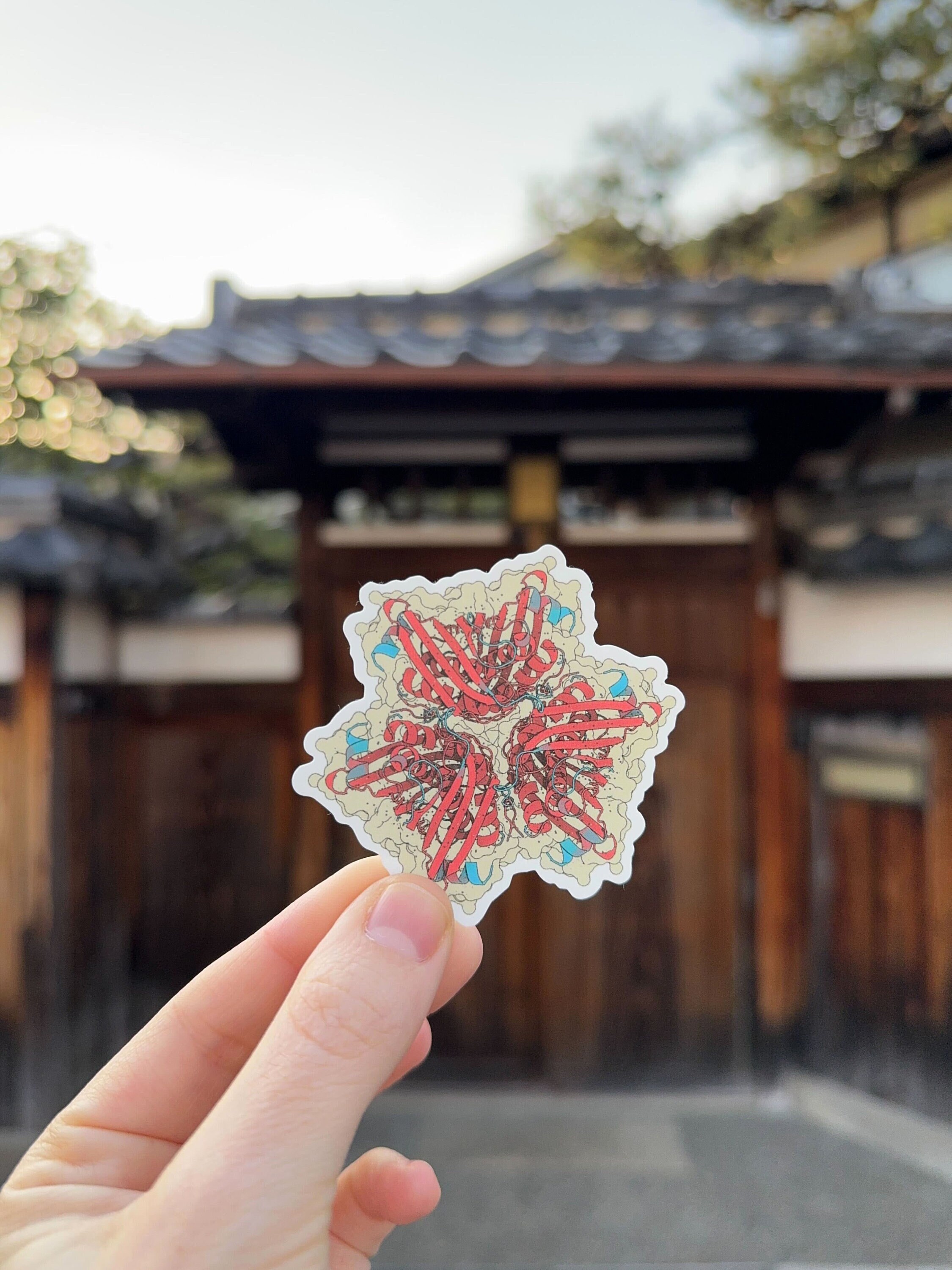 Protein Structure Sticker Structural Biology Sticker Geeky Gift Lab ...