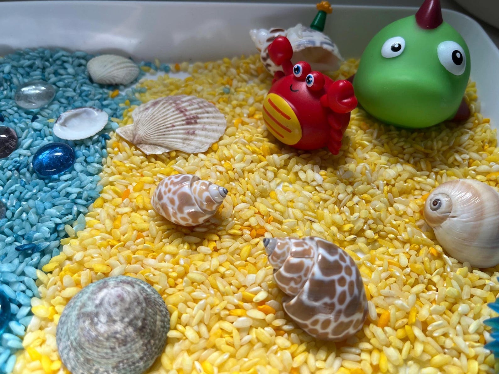 Beach Sensory Bin With Eric Carle Book: Ocean Theme Pretend Play - Etsy